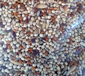 Pets for Homes | Online Pet Shop in Mauritius - Buy Pet Supplies