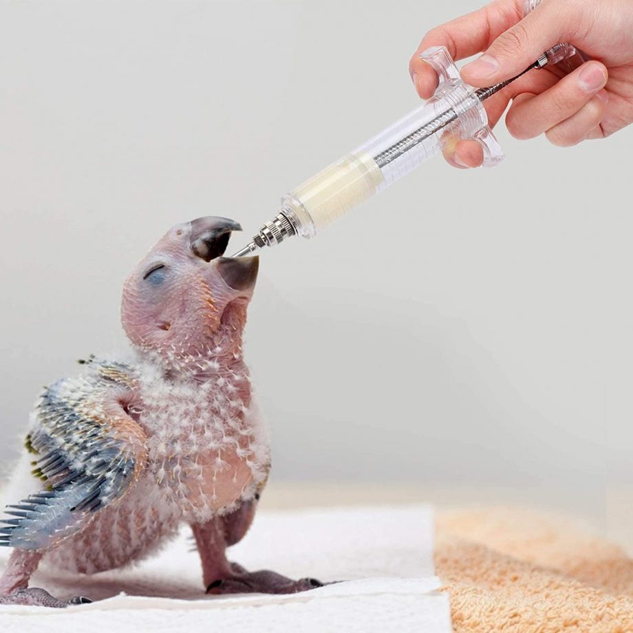 Plastic Hand Feeding Syringe For Birds Crop Tubes - Pets For Homes ...