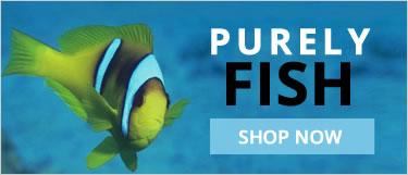 Bird, Dog Food At Pet Store Mauritius | Pets For Homes