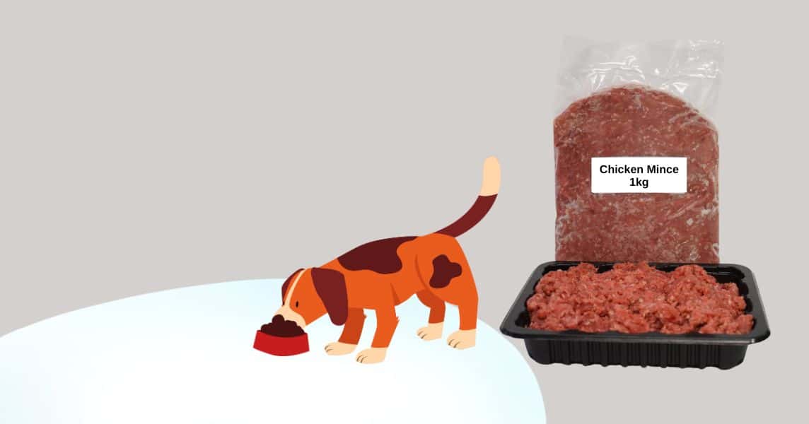 No.1 One-Stop Online Pet Store in Mauritius | Pets For Homes