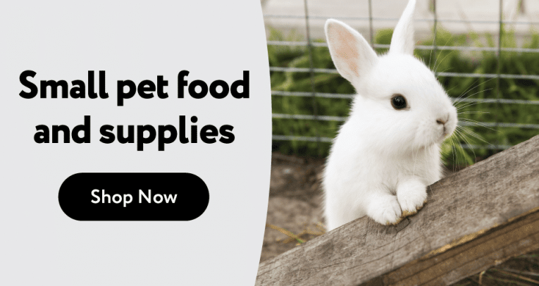 No.1 One-Stop Online Pet Store in Mauritius | Pets For Homes