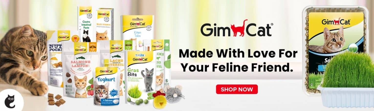 No.1 One-Stop Online Pet Store in Mauritius | Pets For Homes