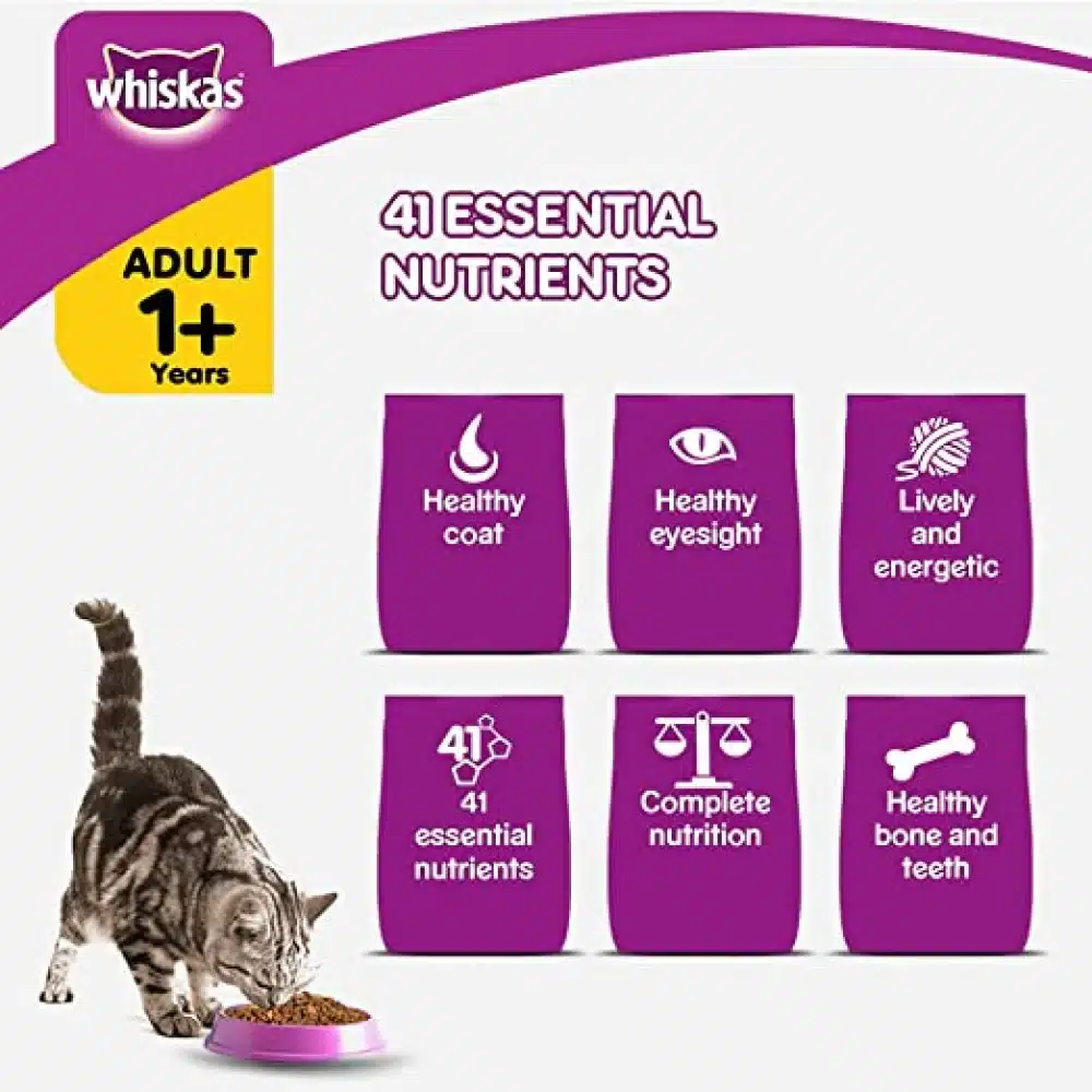 Whiskas Chicken Flavour Cat Dry Food Adult 1.2kg - Pets For Homes | Pet ...