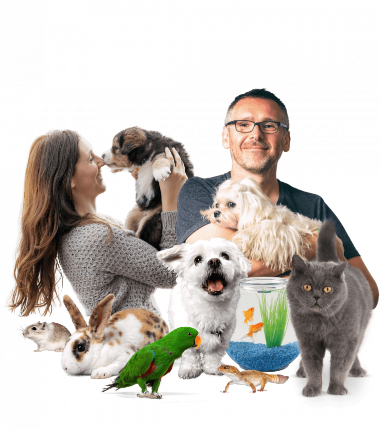 No.1 One-Stop Online Pet Store in Mauritius | Pets For Homes