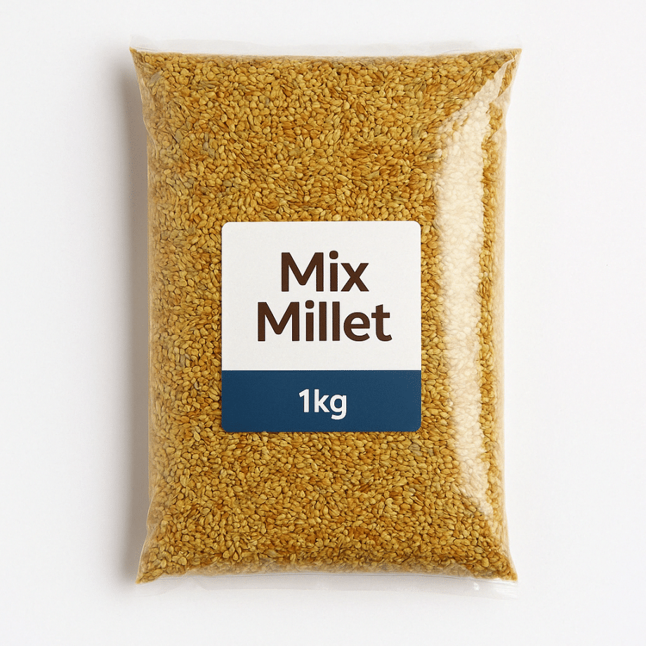 Top 5 Cat Care Tips for Indoor Cats in Mauritius - Pets For Homes | Pet ...