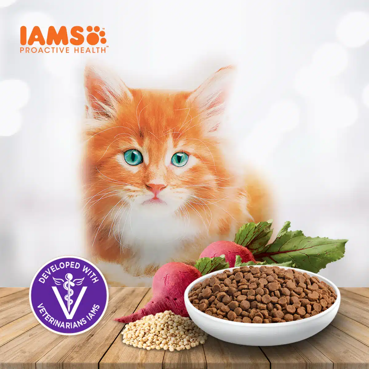 IAMS Proactive Health Mother & Kitten Chicken Dry Premium Cat Food ...